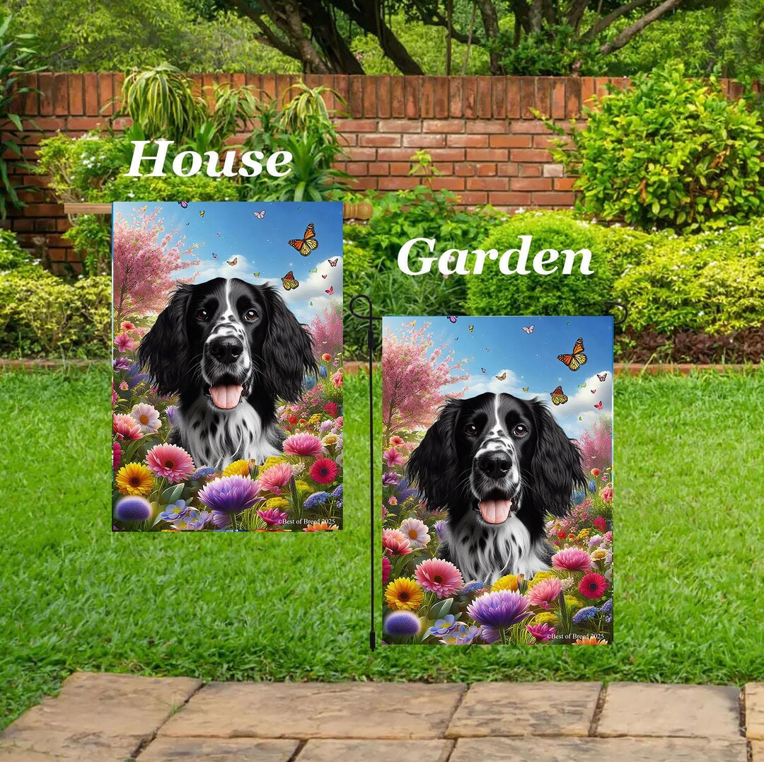 English Setter Black/white - Best of Breed Spring Butterflies Outdoor ...