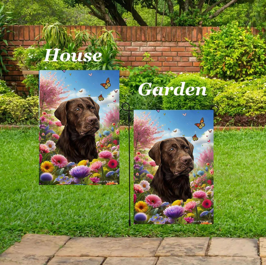 Chocolate Labrador - Best of Breed Spring Butterflies Outdoor House (28 ...