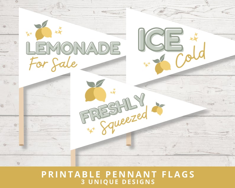 Lemonade Stand Signs | Lemonade Stand Party Decor | Lemonade Stand ...