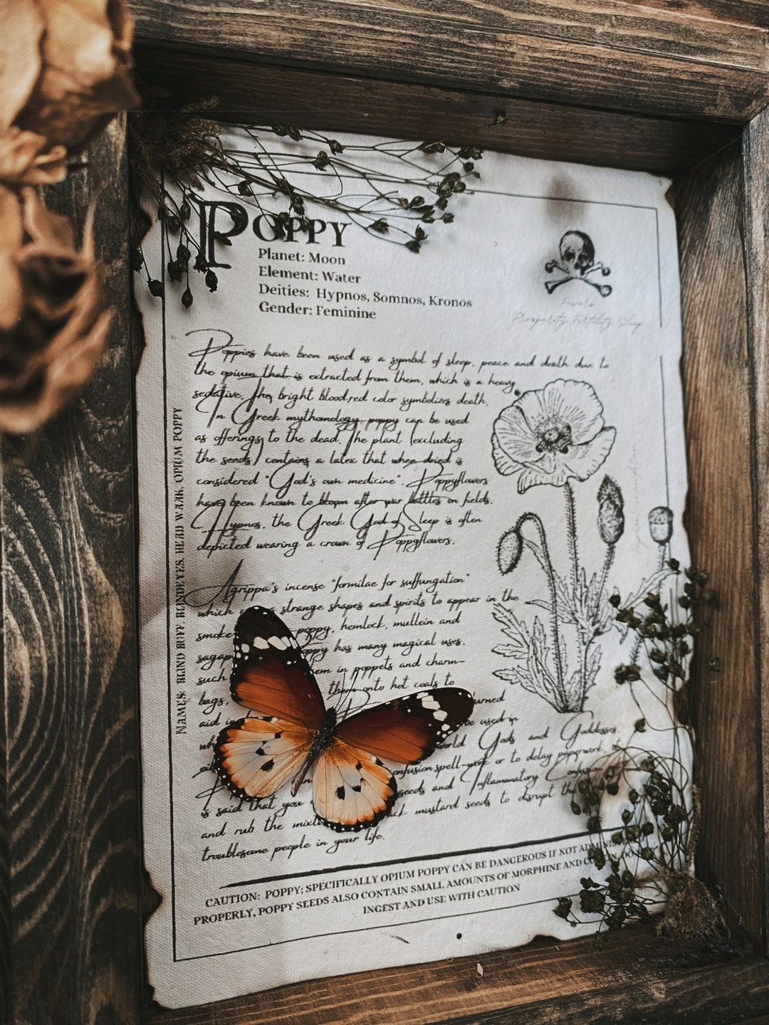 Poisonous Plants: Poppy With Butterfly - Etsy