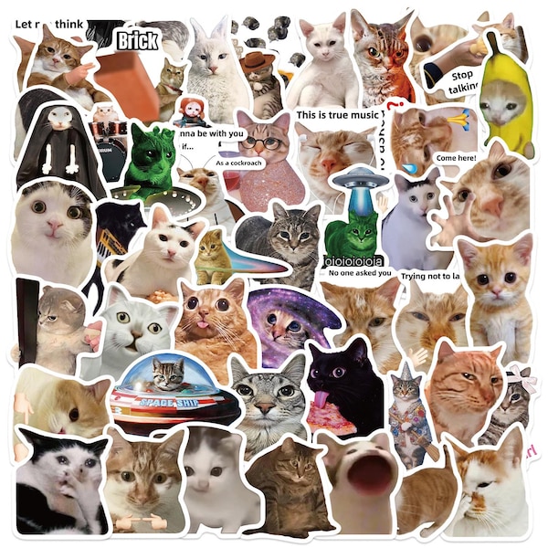 Cat Meme Stickers - Etsy