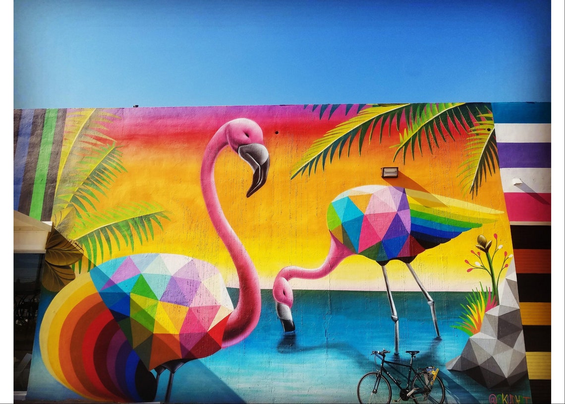 Flamingo Geometrical Graffiti Urban Art - Etsy