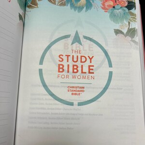 Painted CSB Study Bible Bible - Etsy