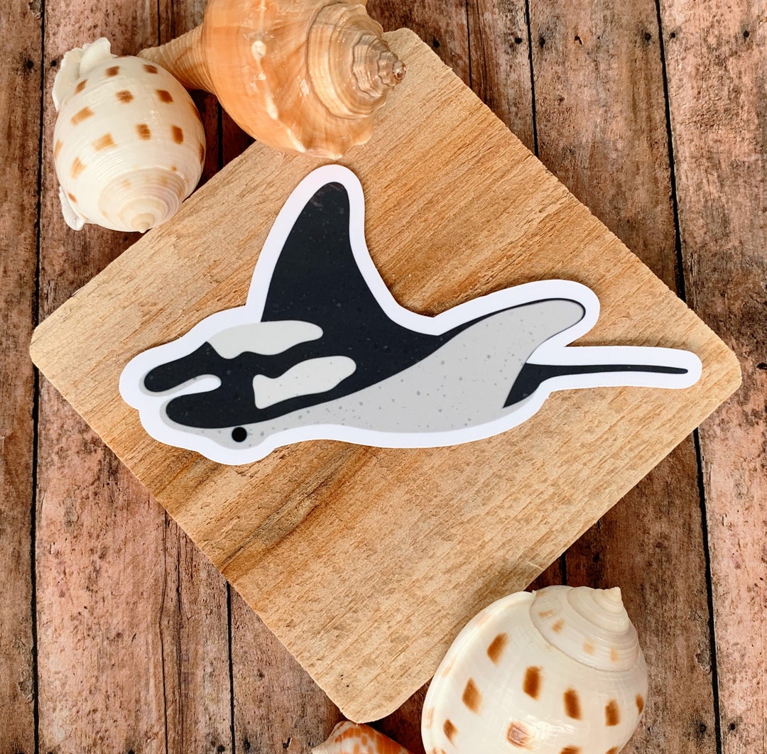 Giant Oceanic Manta Ray Sticker Vinyl Manta Ray Sticker - Etsy