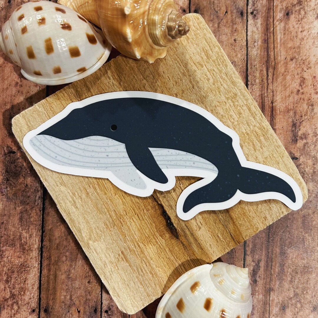 Blue Whale Vinyl Sticker Cute Laptop Water Bottle Decal Marine Biology ...