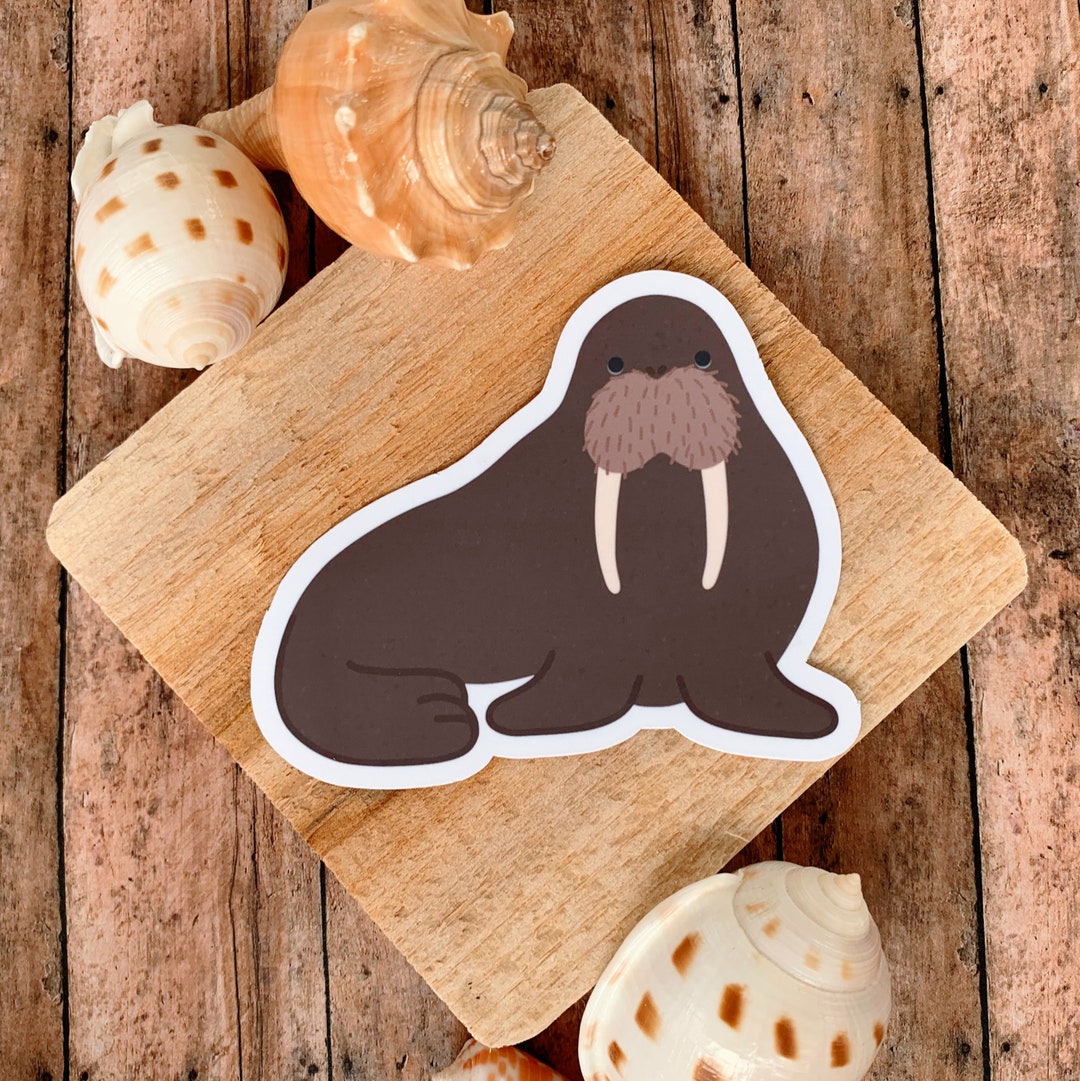 Walrus Sticker Cute Walrus Sticker Marine Biology Sea - Etsy