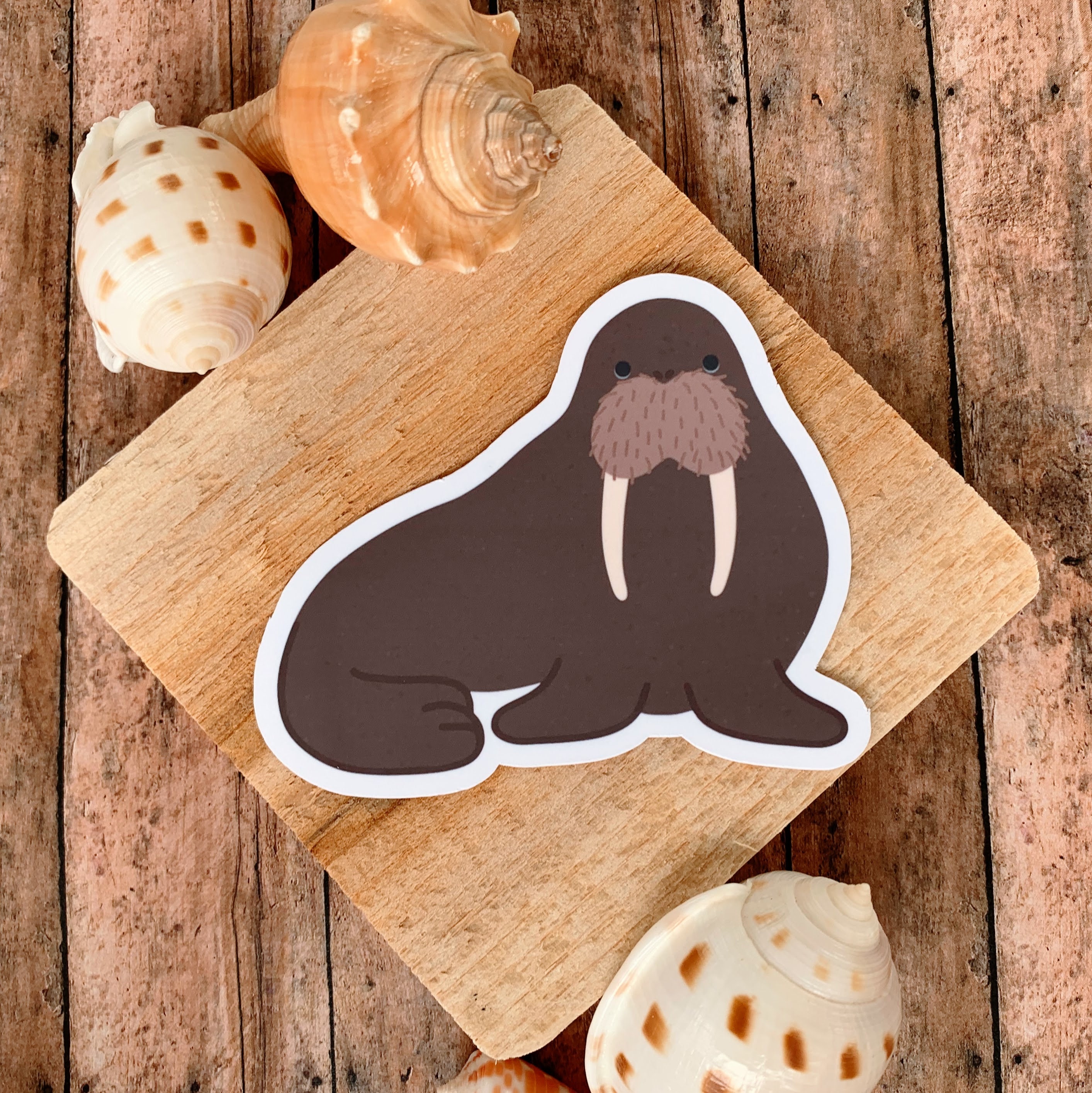 Walrus Sticker Cute Walrus Sticker Marine Biology Sea - Etsy