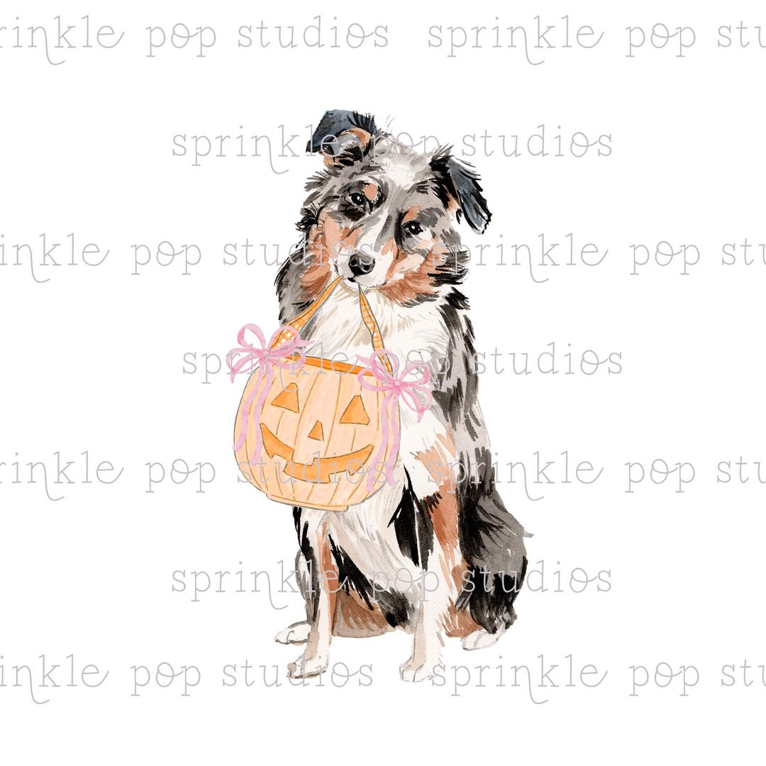 Watercolor Australian Shepherd With Pumpkin Pail | Watercolor Design ...