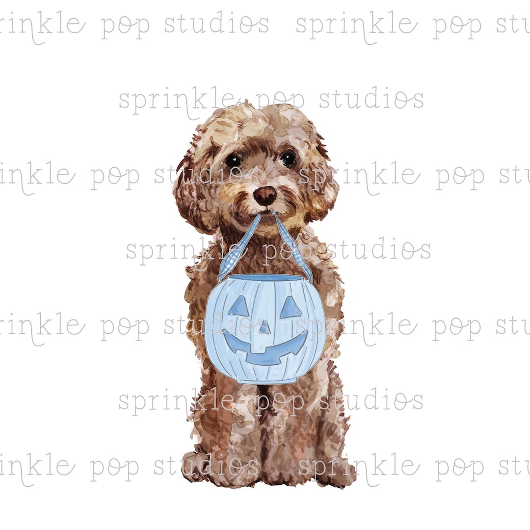 Watercolor Brown Cockapoo With Blue Pumpkin Pail | Watercolor Design ...