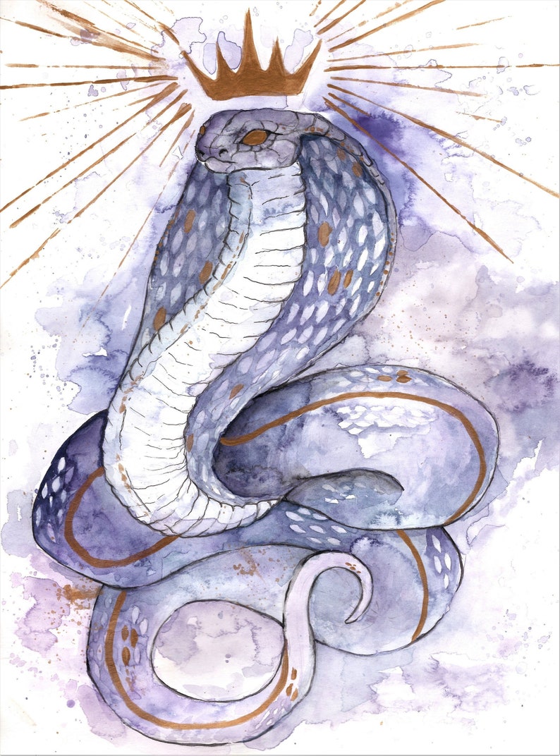 King Cobra 8.5x11 Watercolor Print AND ORIGINAL - Etsy
