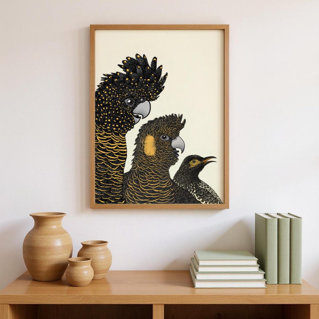 Australian Birds Poster: Red-tailed Black Cockatoo Art Print - Etsy ...