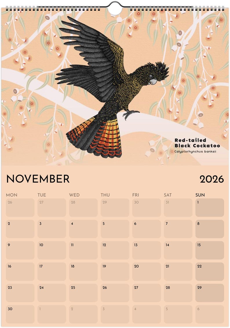 Australian Bird Life Calendar 2026 - Etsy Australia