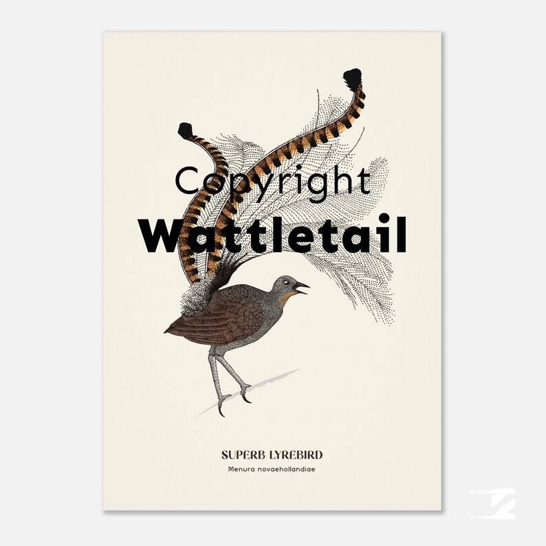 Australian Birds Posters Native Bird Art - Buy 3 X Prints for 20% Off ...