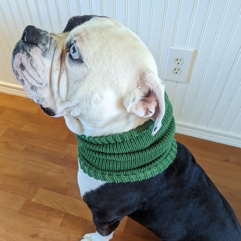 Dog Scarf - Etsy