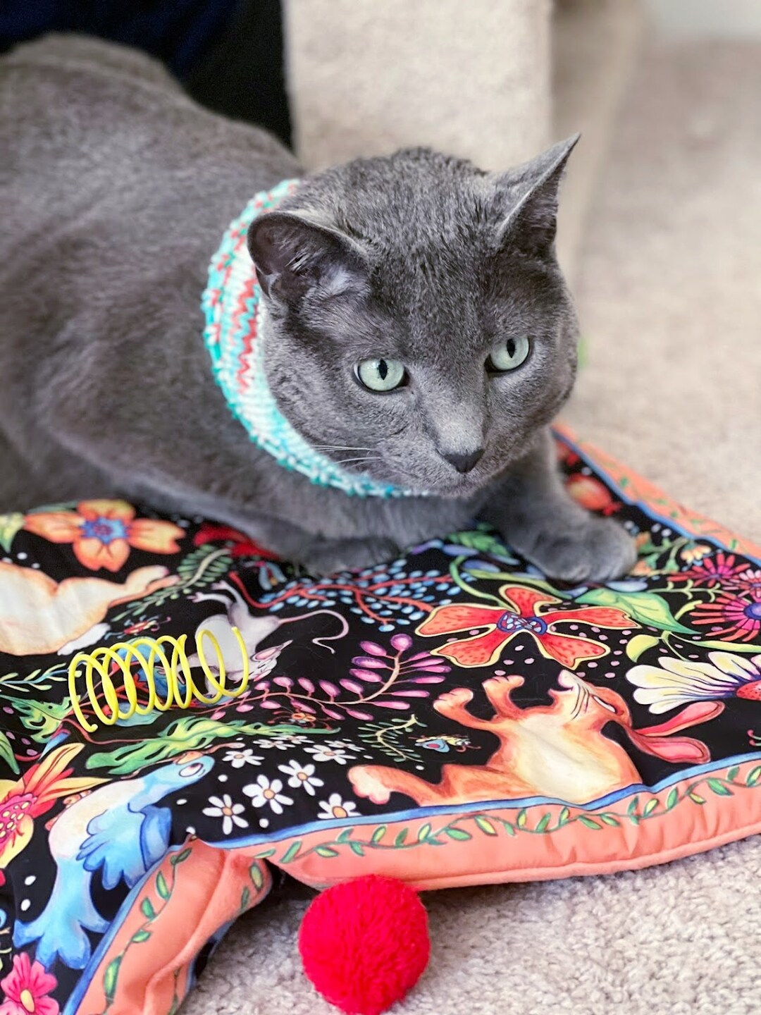 Handmade Cat Snoods Infinity Cat Scarf Hand Knit Scarf Pet Neck Warmer ...