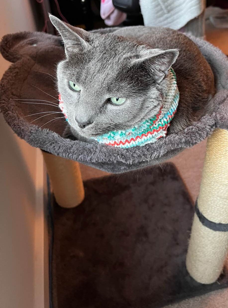 Handmade Cat Snoods Infinity Cat Scarf Hand Knit Scarf Pet Neck Warmer ...