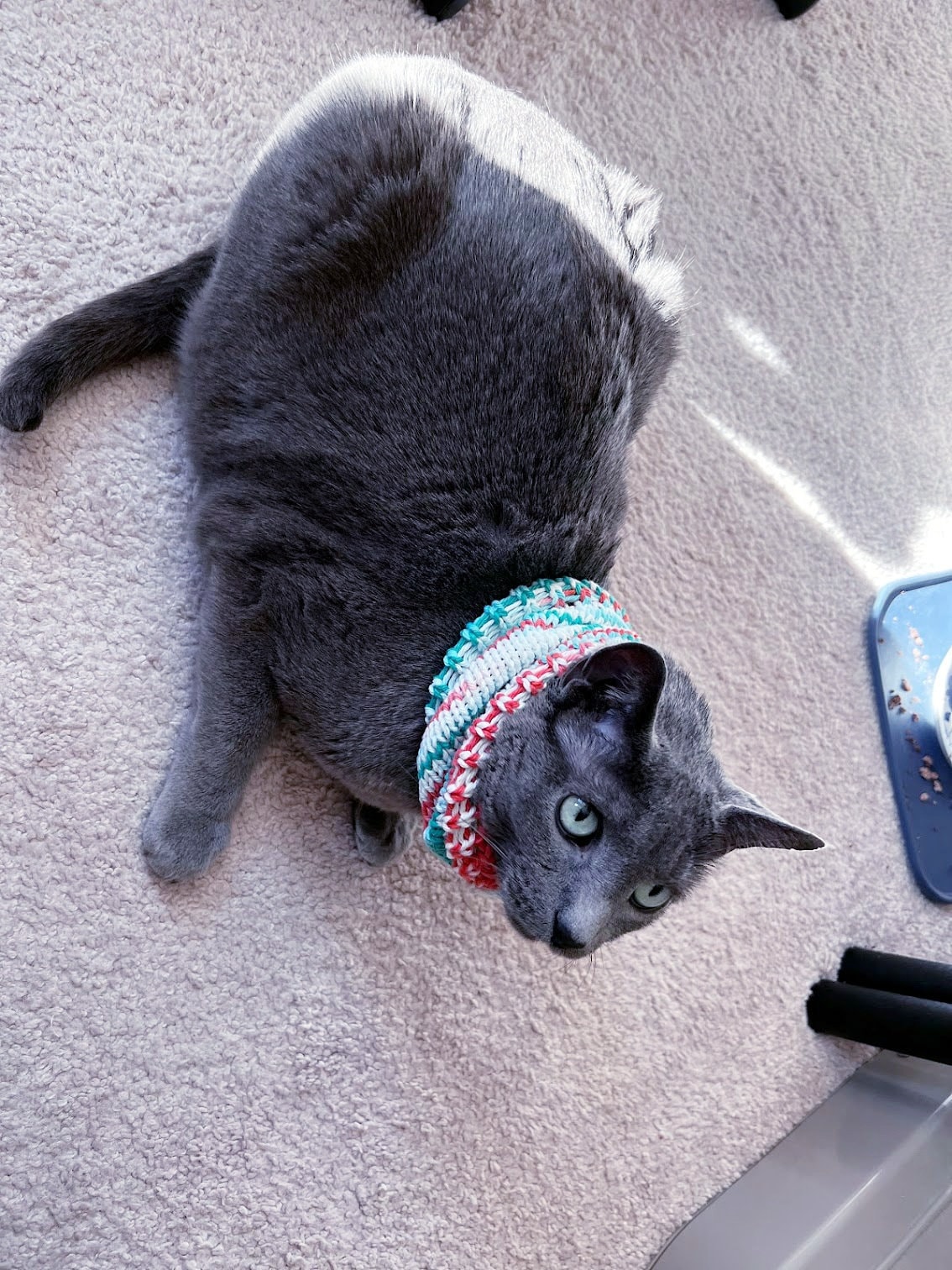 Handmade Cat Snoods Infinity Cat Scarf Hand Knit Scarf Pet Neck Warmer ...