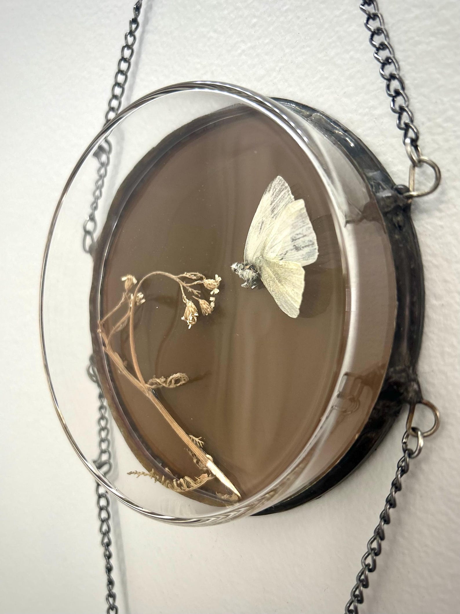 Stained Glass Wall Hanging - Real Insect & Flower Mounted on Film Lens ...