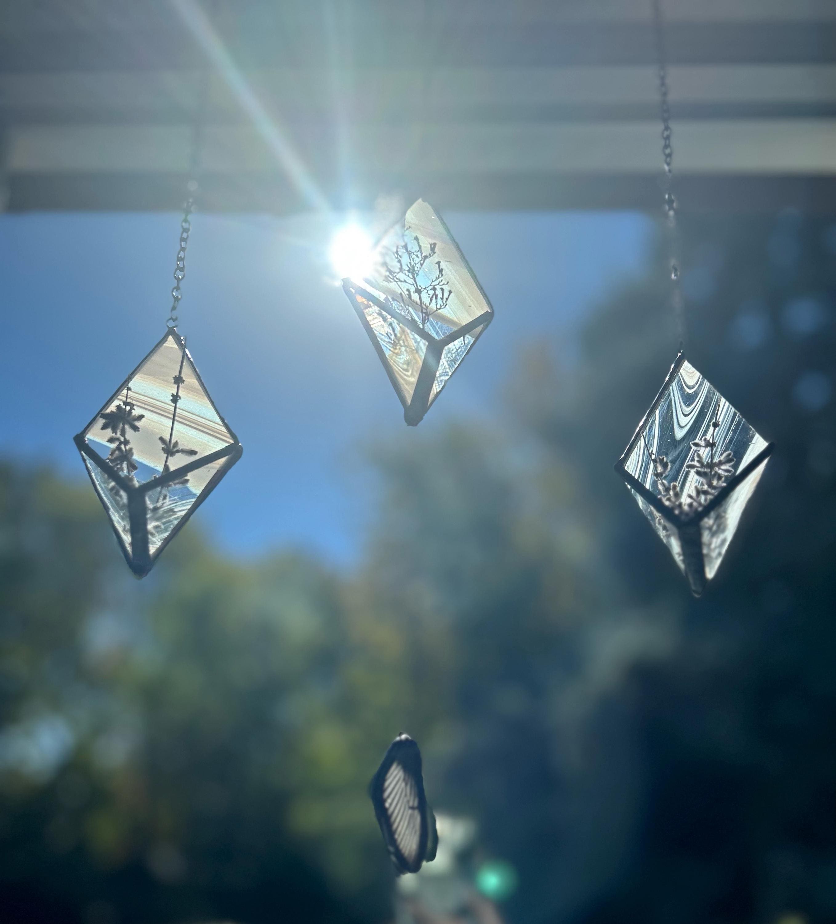 Butterfly Wing & Stained Glass Wall Pockets 3 for Air Plants or Dried ...