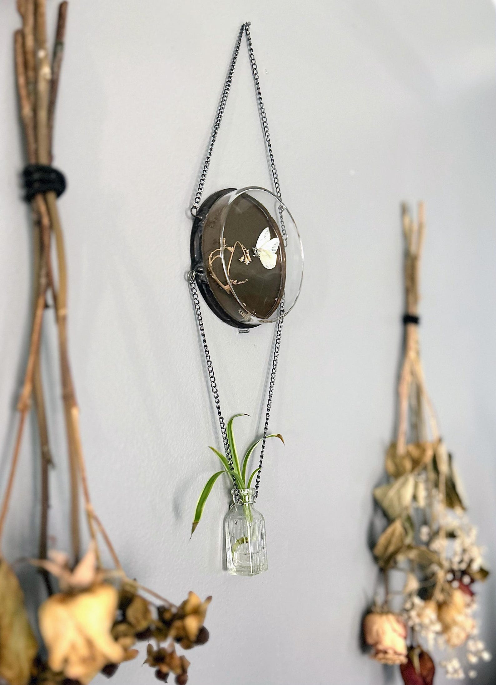 Stained Glass Wall Hanging - Real Insect & Flower Mounted on Film Lens ...