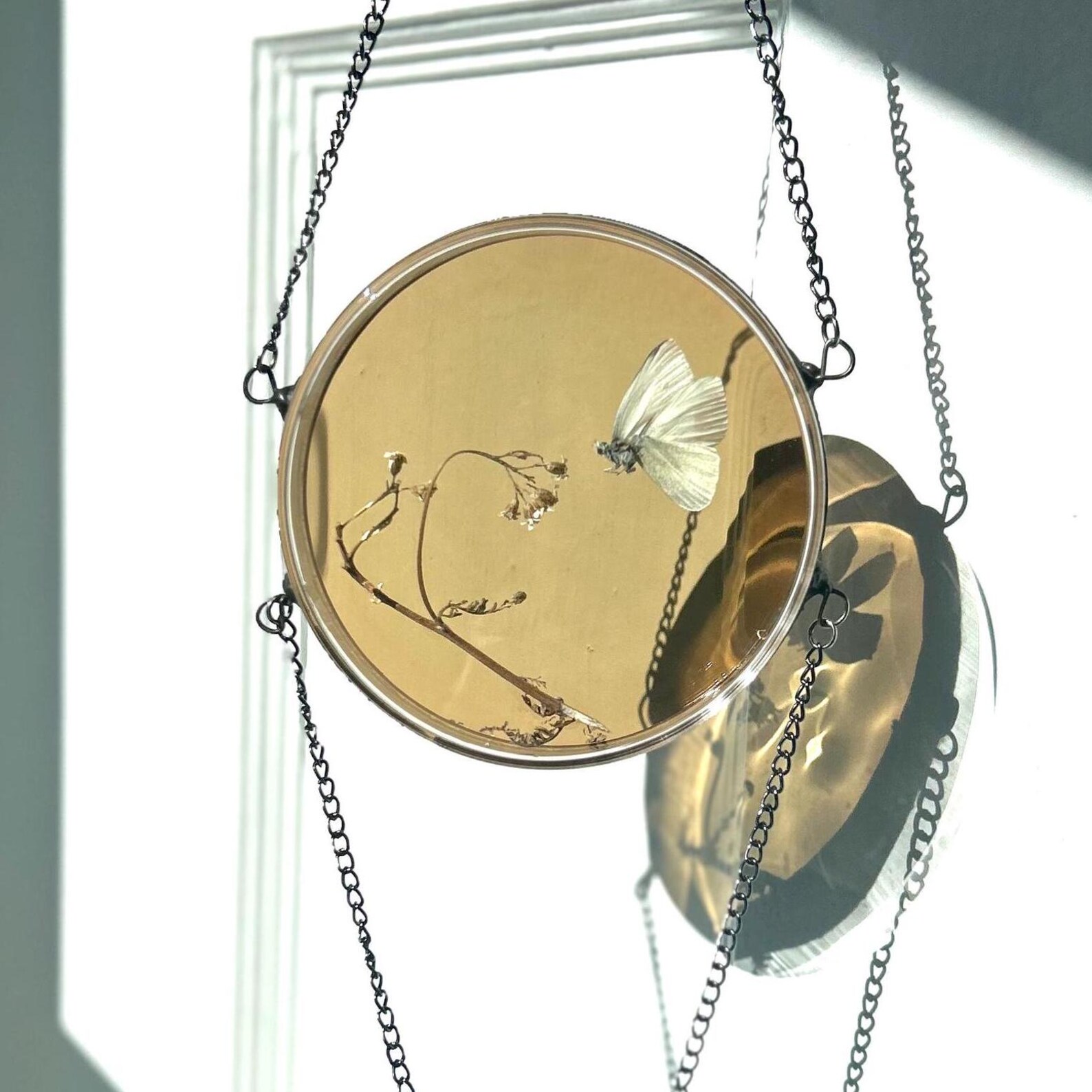 Stained Glass Wall Hanging - Real Insect & Flower Mounted on Film Lens ...