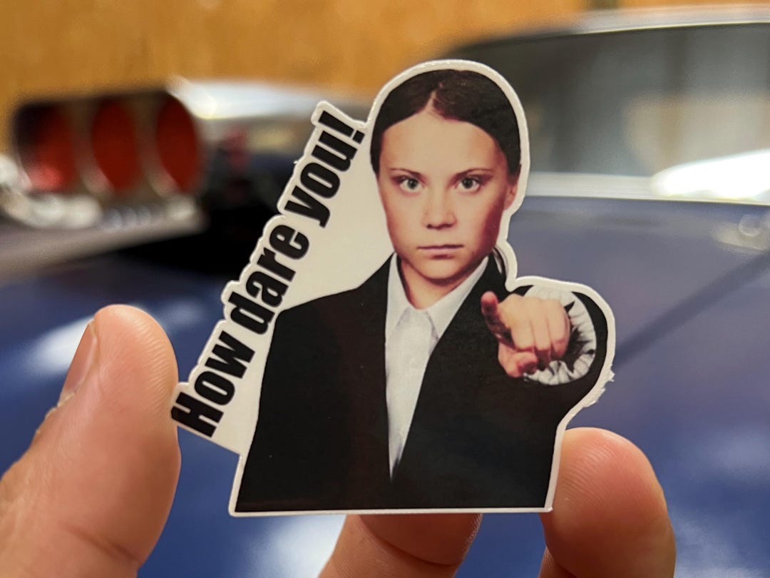 How Dare You! (greta Thunberg) Sticker; Funny Sticker; Funny Water ...