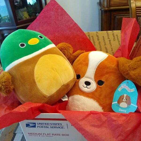 Squishmallow Mystery Box - Shop Online - Etsy