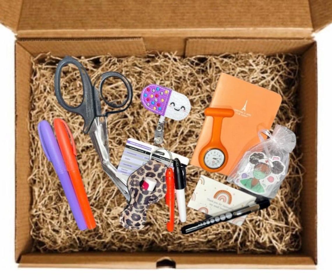 Nursing Essentials Kit: Must-haves for Success / Perfect for RN, LPN ...