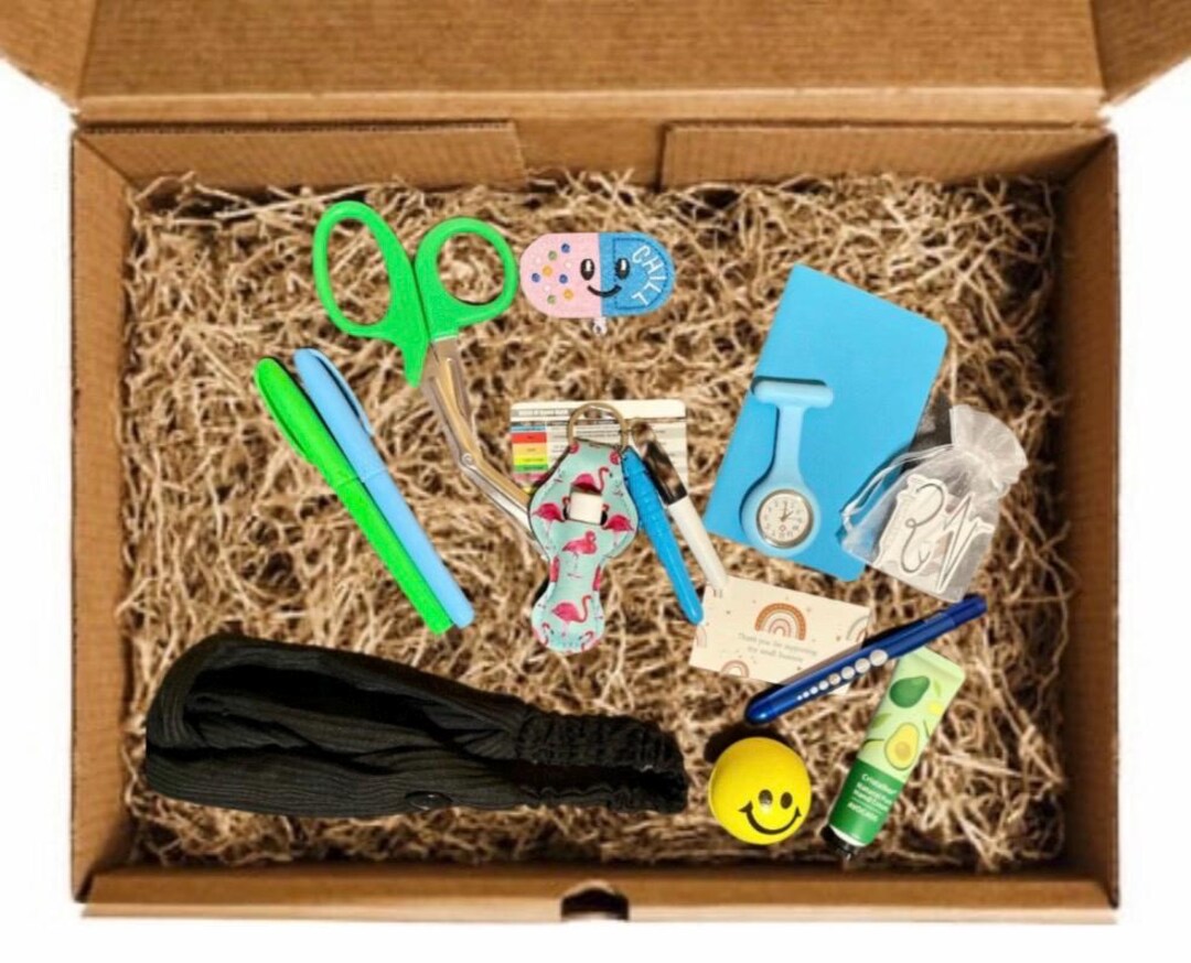 Nursing Essentials Kit: Must-haves for Success / Perfect for RN, LPN ...