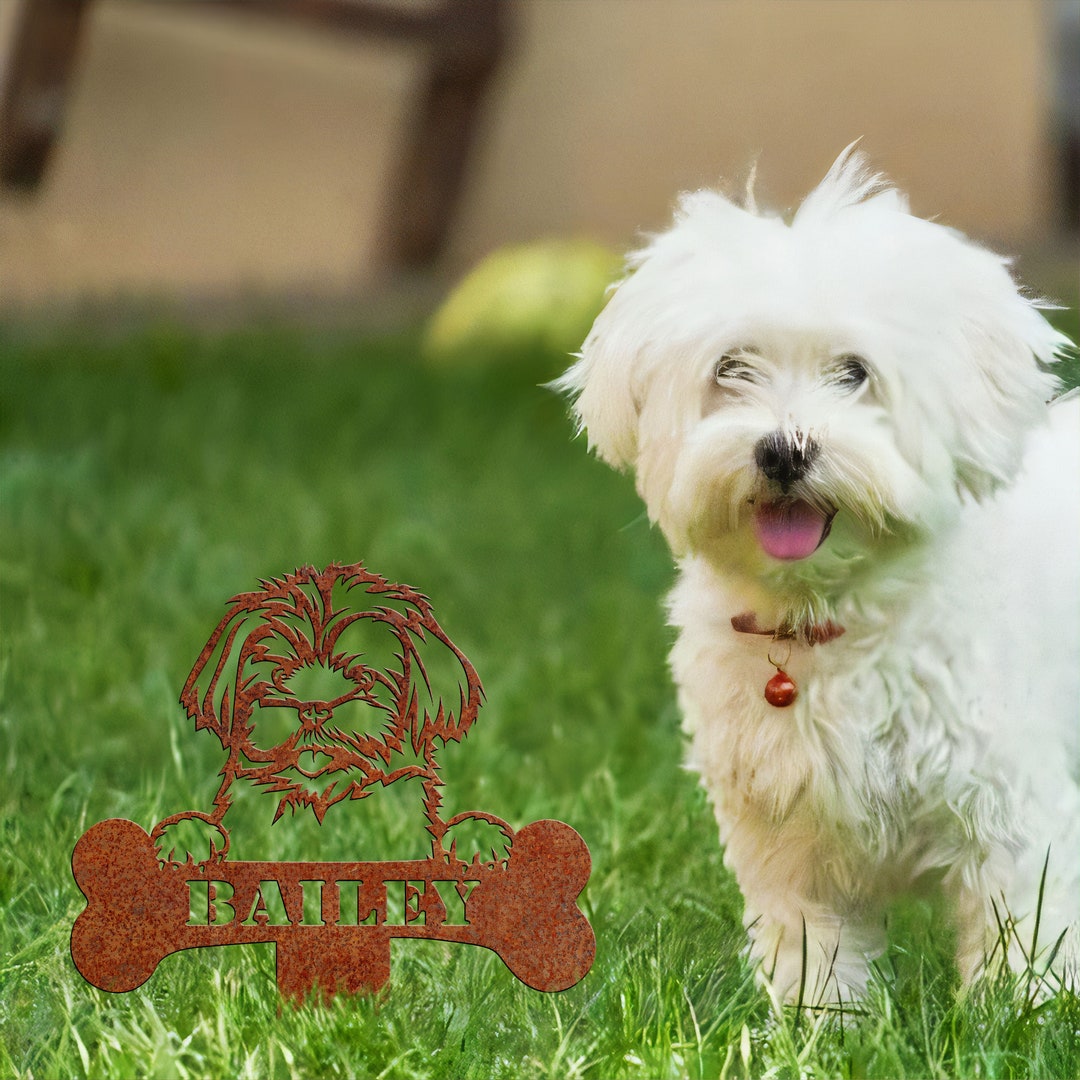Custom Maltese Dog Rusty Metal Garden Stake, Memorial Sign - Etsy