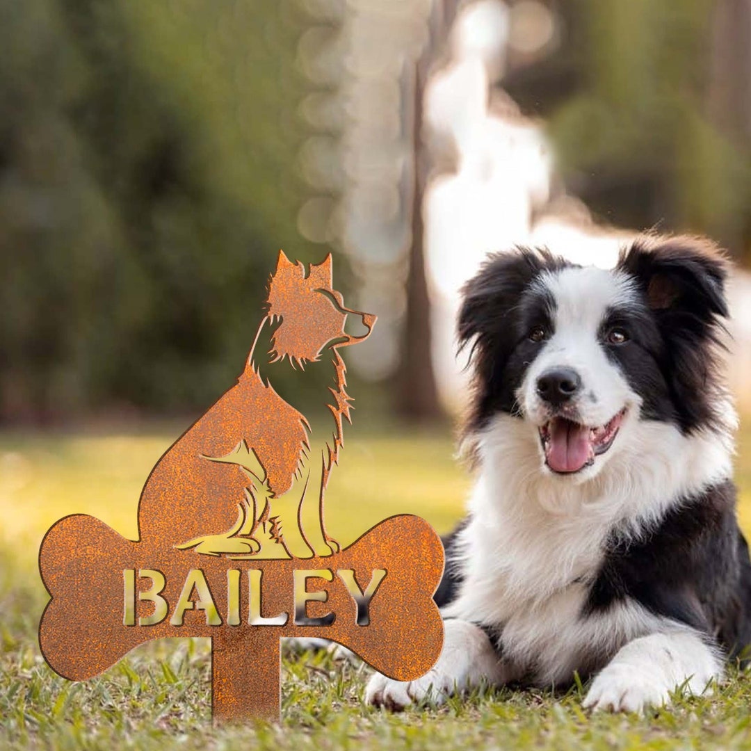 Border Collie Rusty Metal Stake, Border Collie Garden Sign Rusty ...