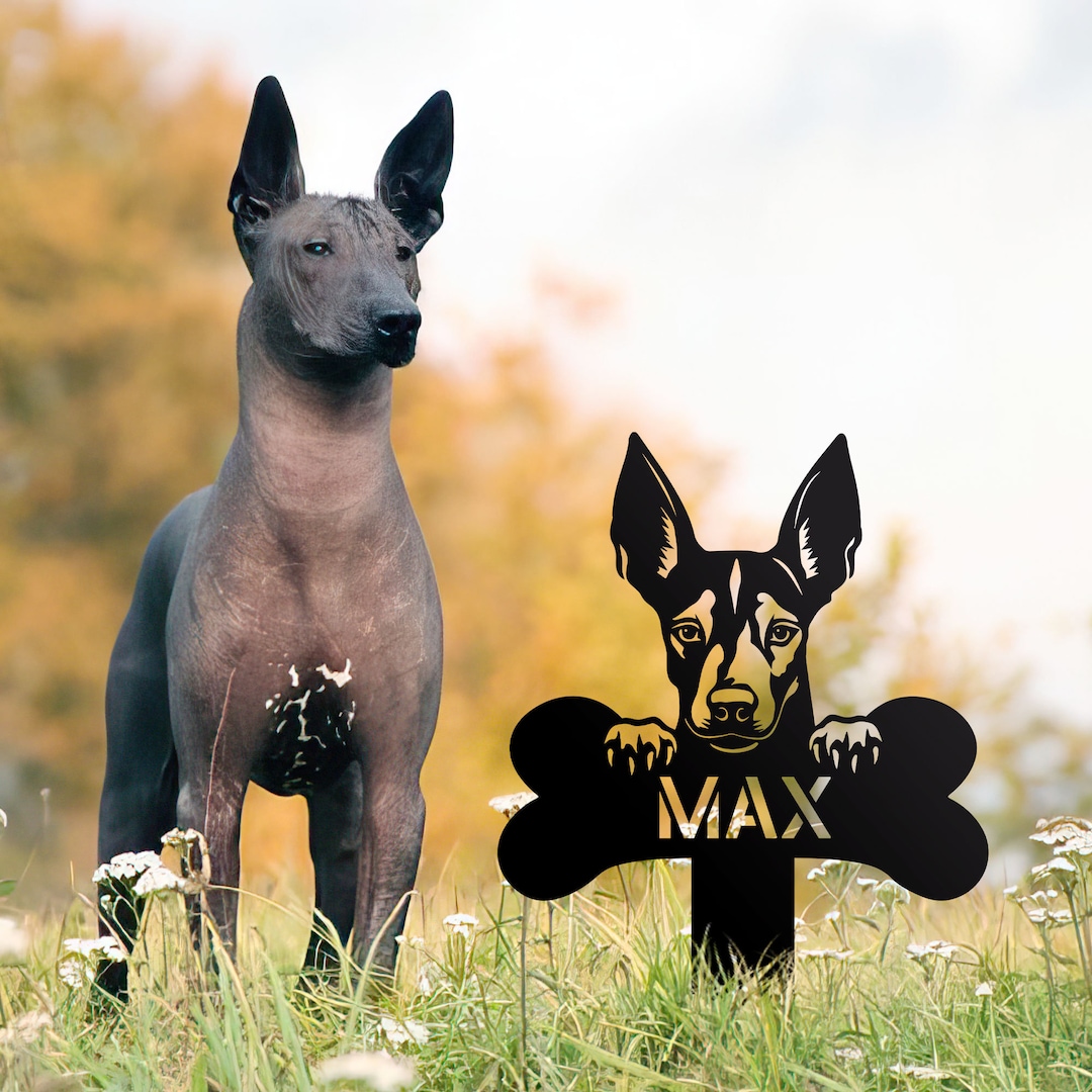 Personalized Dog Metal Stake Sign, Xoloitzcuintli Dogs Sign, Metal Dog ...