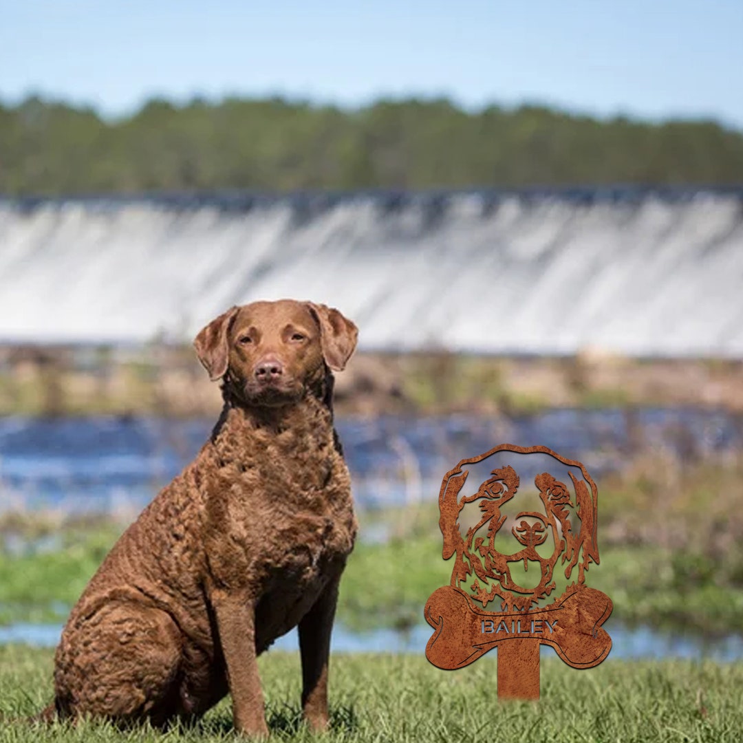 Custom Memorial Rusty Metal Sign, Retrievers Dog Loss, Rusty Metal ...
