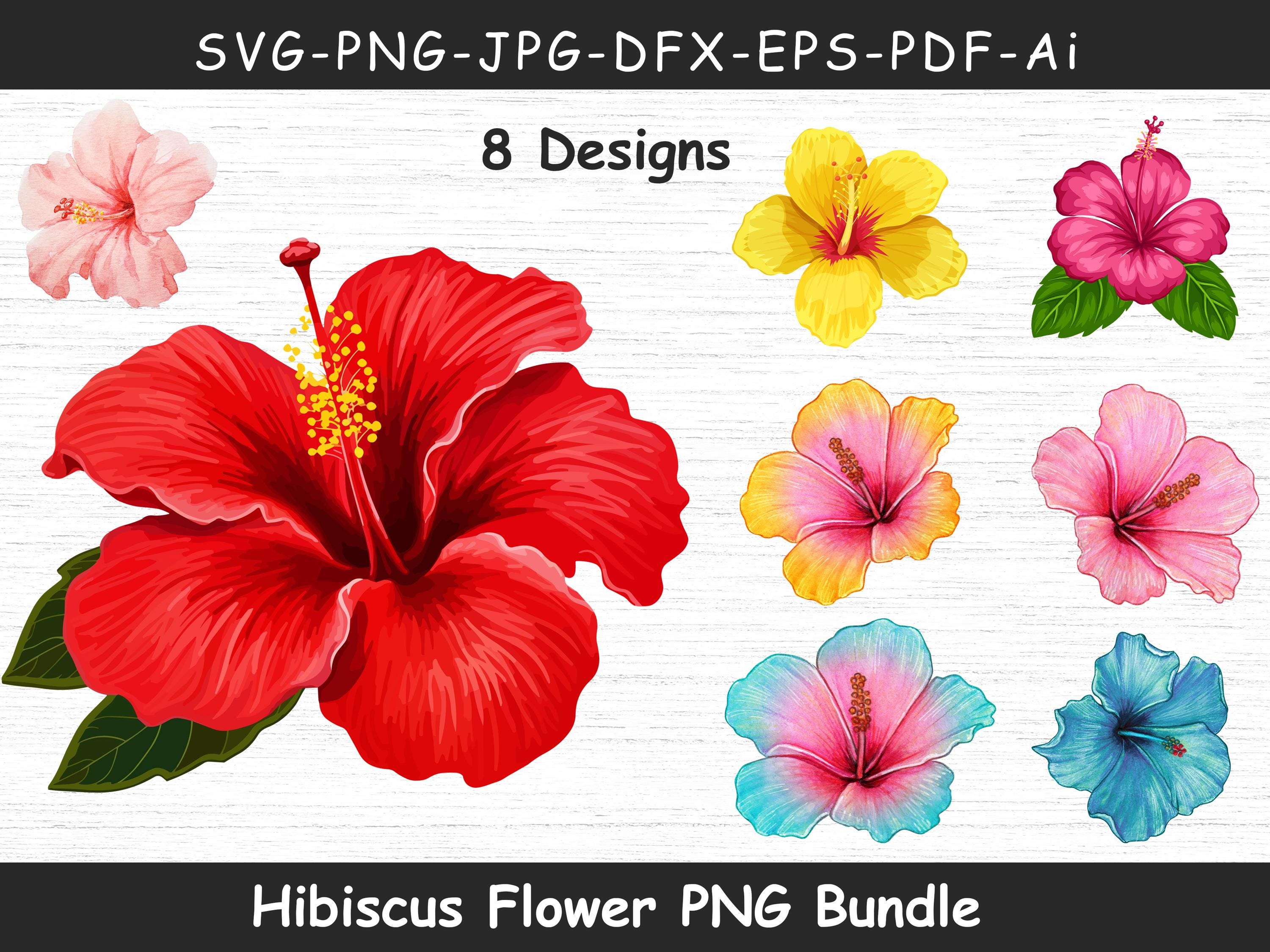 Hibiscus Flower PNG, Clipart Bundle, 300 Dpi JPEG, 300 DPI Transparent ...
