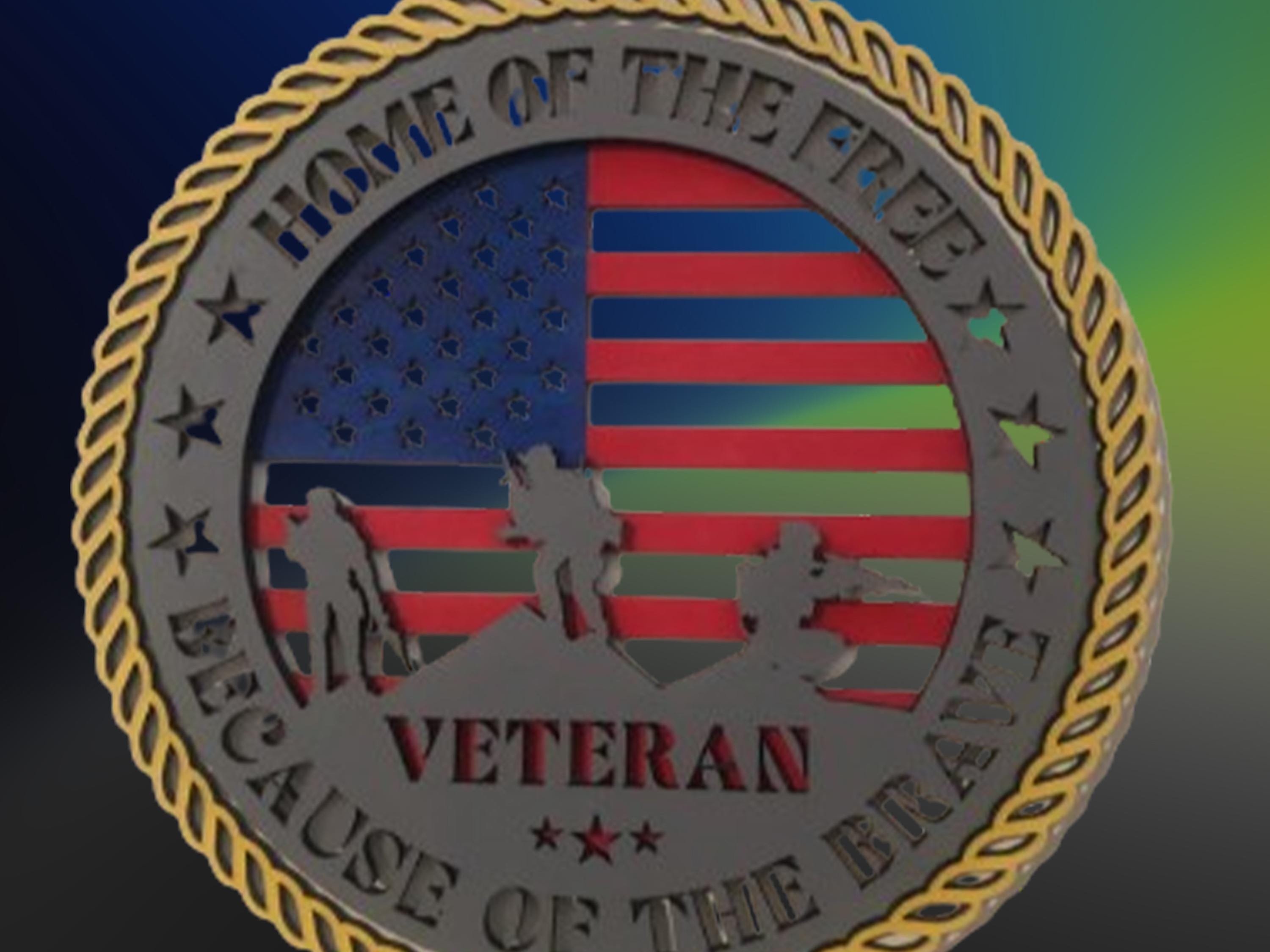 Veteran Plaque 3 Layer SVG, Military Svg, Veteran Layered Ornament With ...