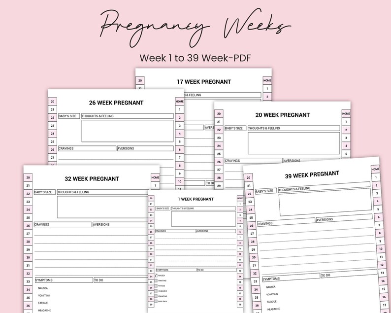 Pregnancy Planner, Printable Pregnancy Planner, Hyperlinked Pregnancy ...