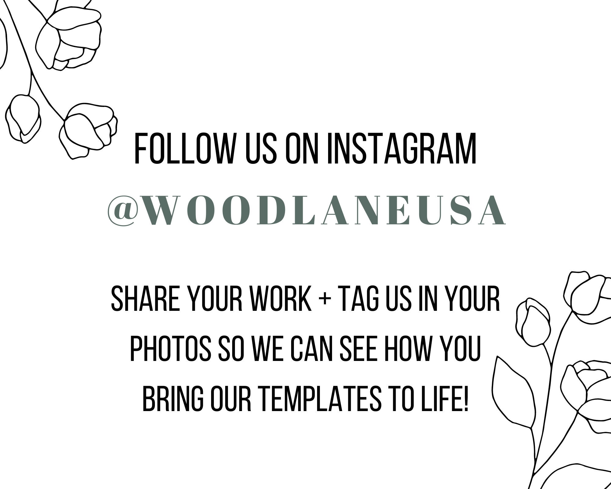 Magnolia Template Bundle Single Line Floral Round Magnolia - Etsy