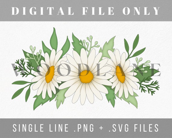 Single Line Daisy Bundle SVG PNG Single Line Floral - Etsy Canada