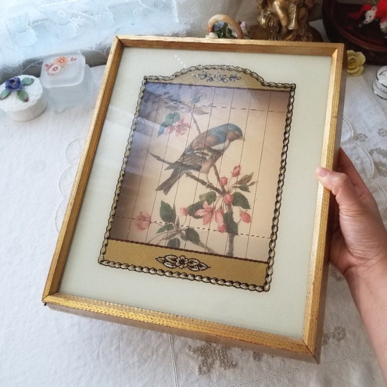 Vintage Bird Print Shadow Box - Etsy