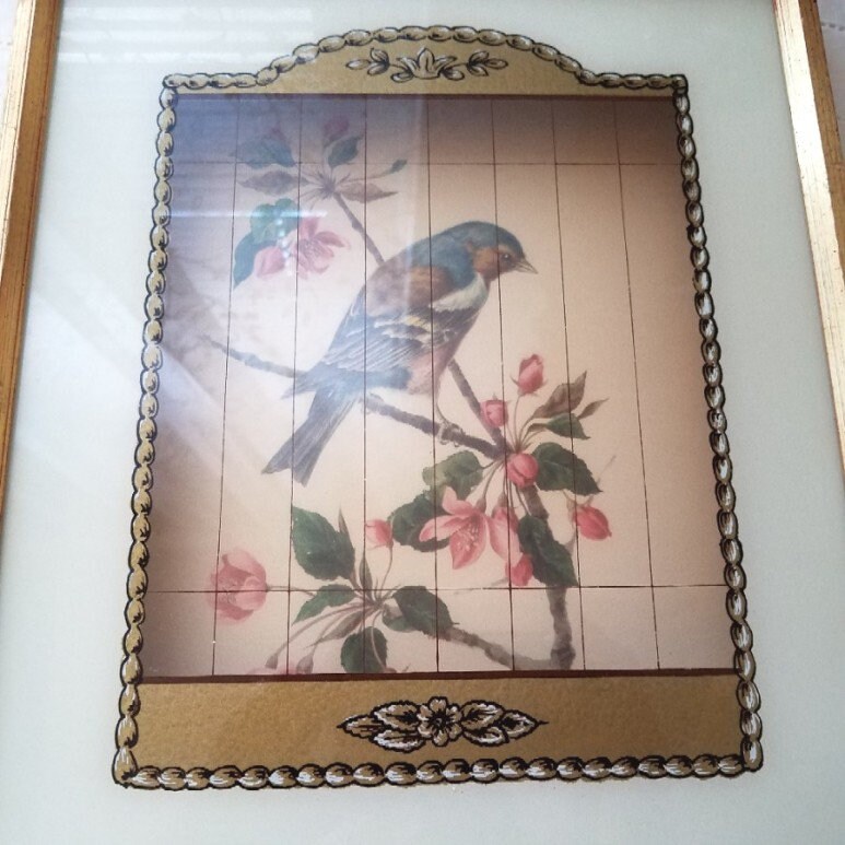 Vintage Bird Print Shadow Box - Etsy