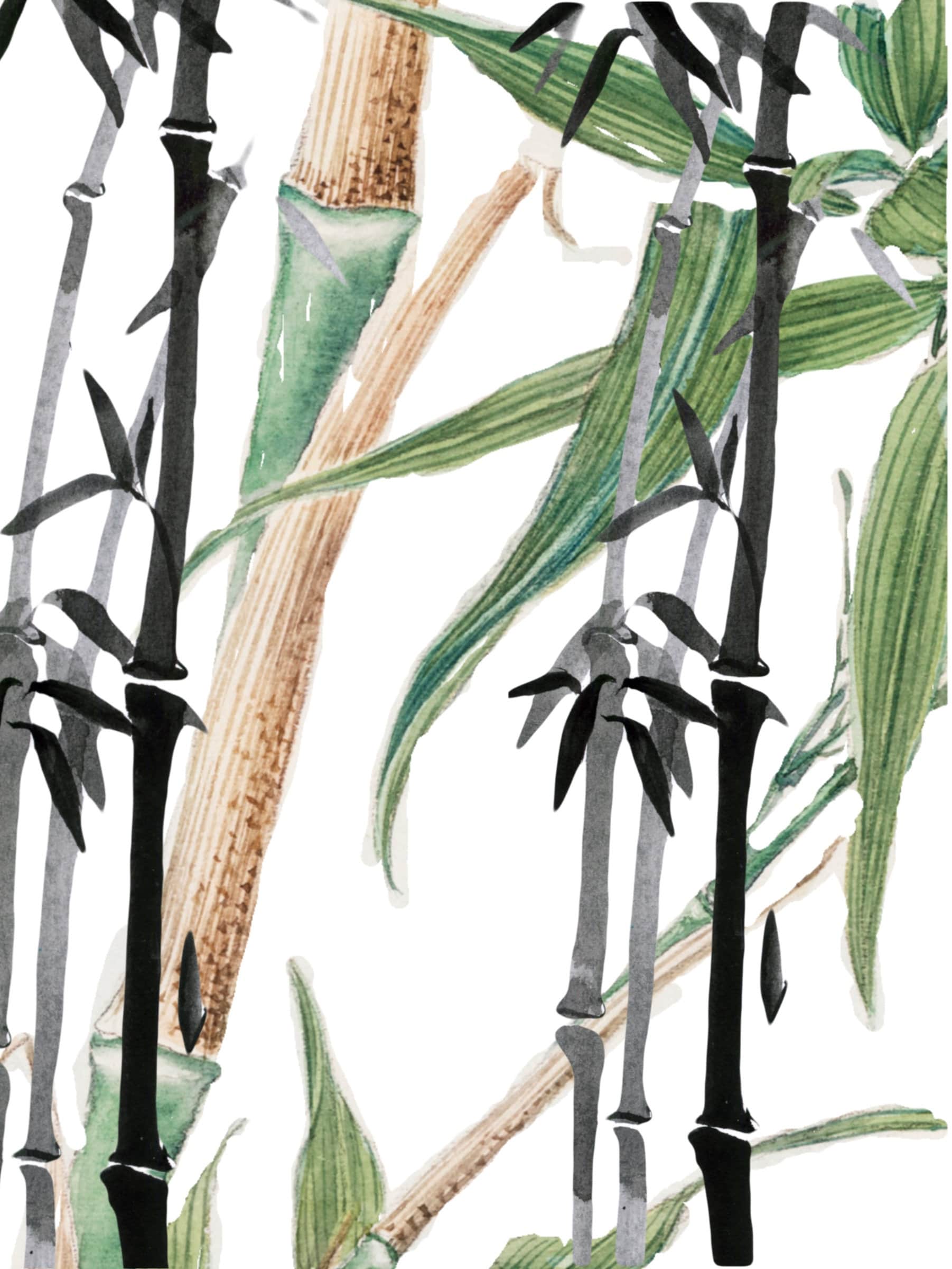 Watercolor Bamboo Wall Art, Asian Art Painting, Bamboo Plant, Bamboo ...