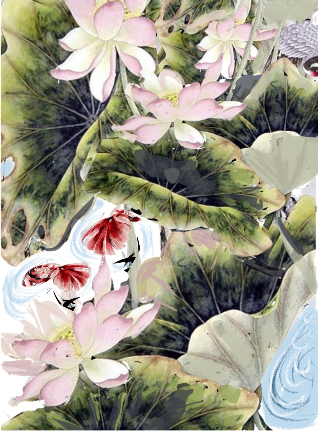 Mothers Lotus Koi Pond, Lotus Flower, Koi Fish, Lotus Flower, Fish Koi ...