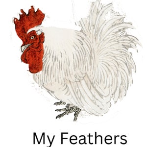 PNG Funny Christmas White Rooster : Dont Ruffle My Feathers ...