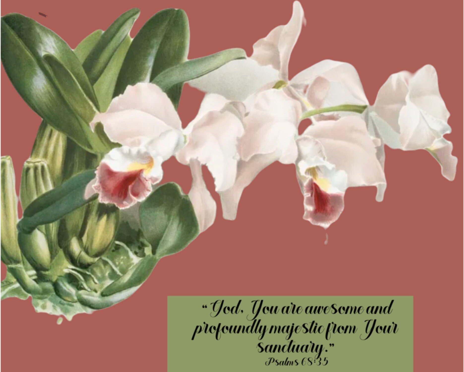 Watercolor Floral Print Blooming Orchid & Scripture Wall Art, Cattleya ...