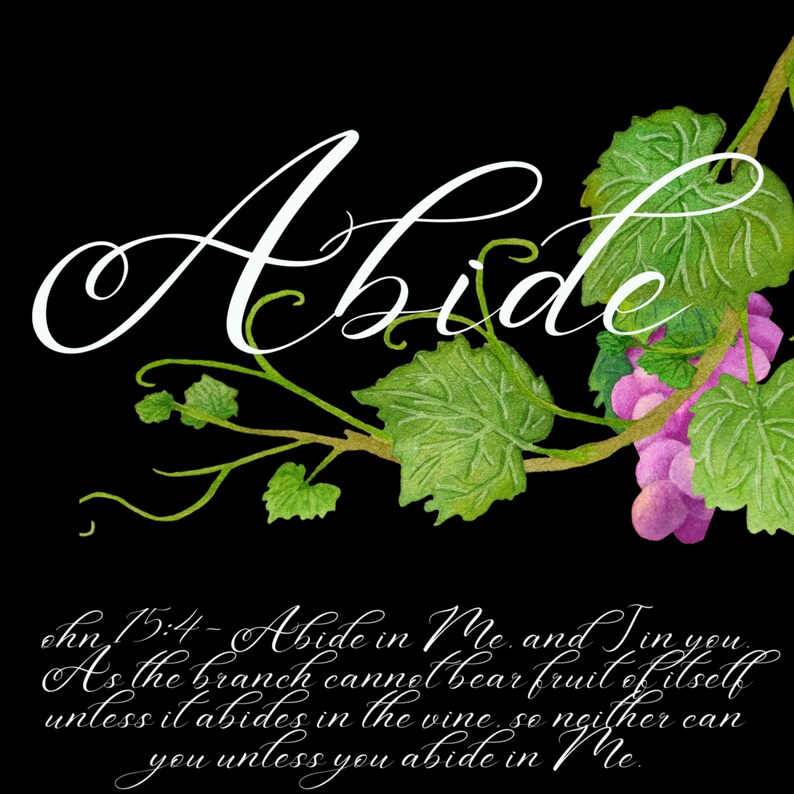 Watercolor Grape Leaf Vine Withtendrils Illustrating Abide Bible Verse ...