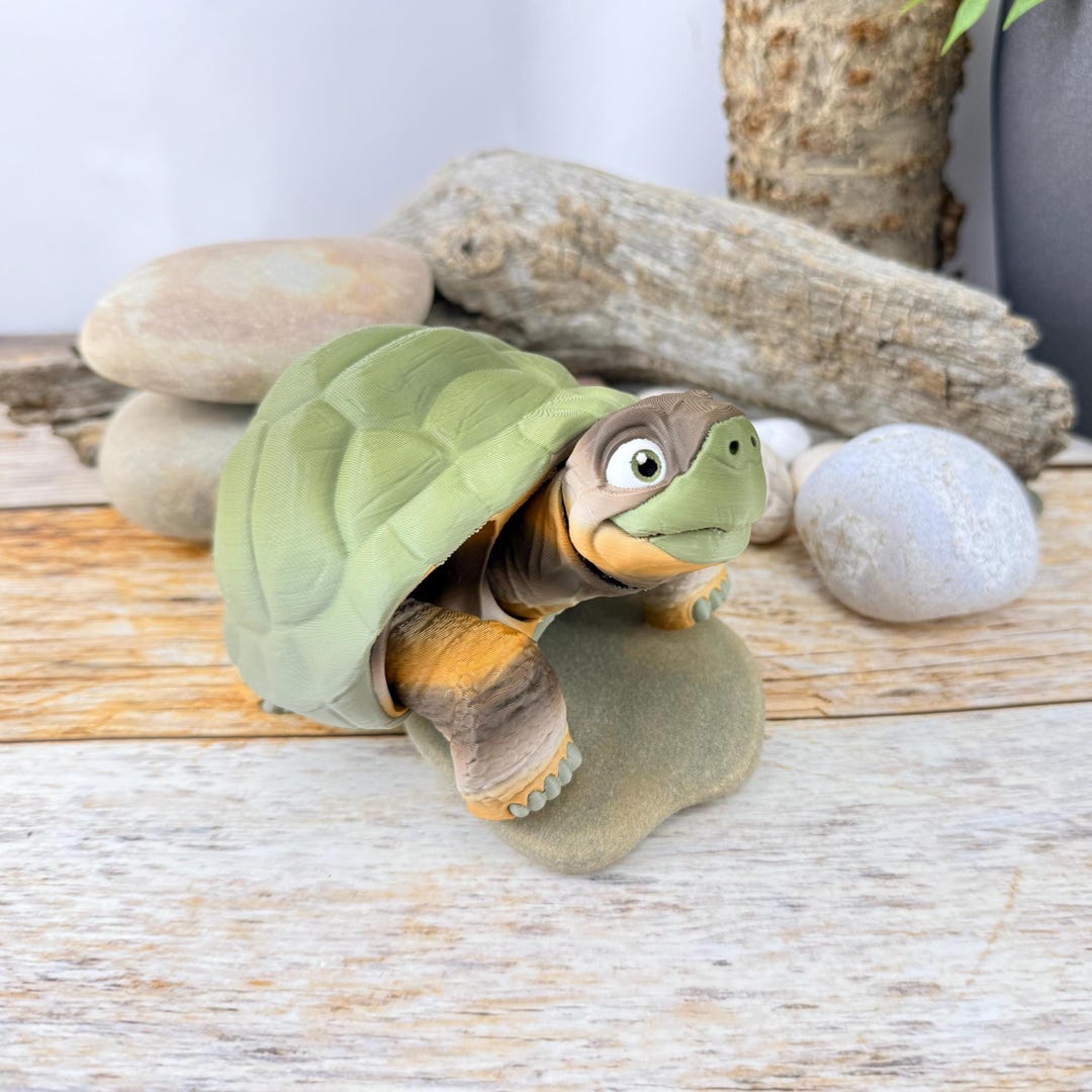 Flexi Tortoise - Articulated 3D Printed Desk Figurine - Etsy