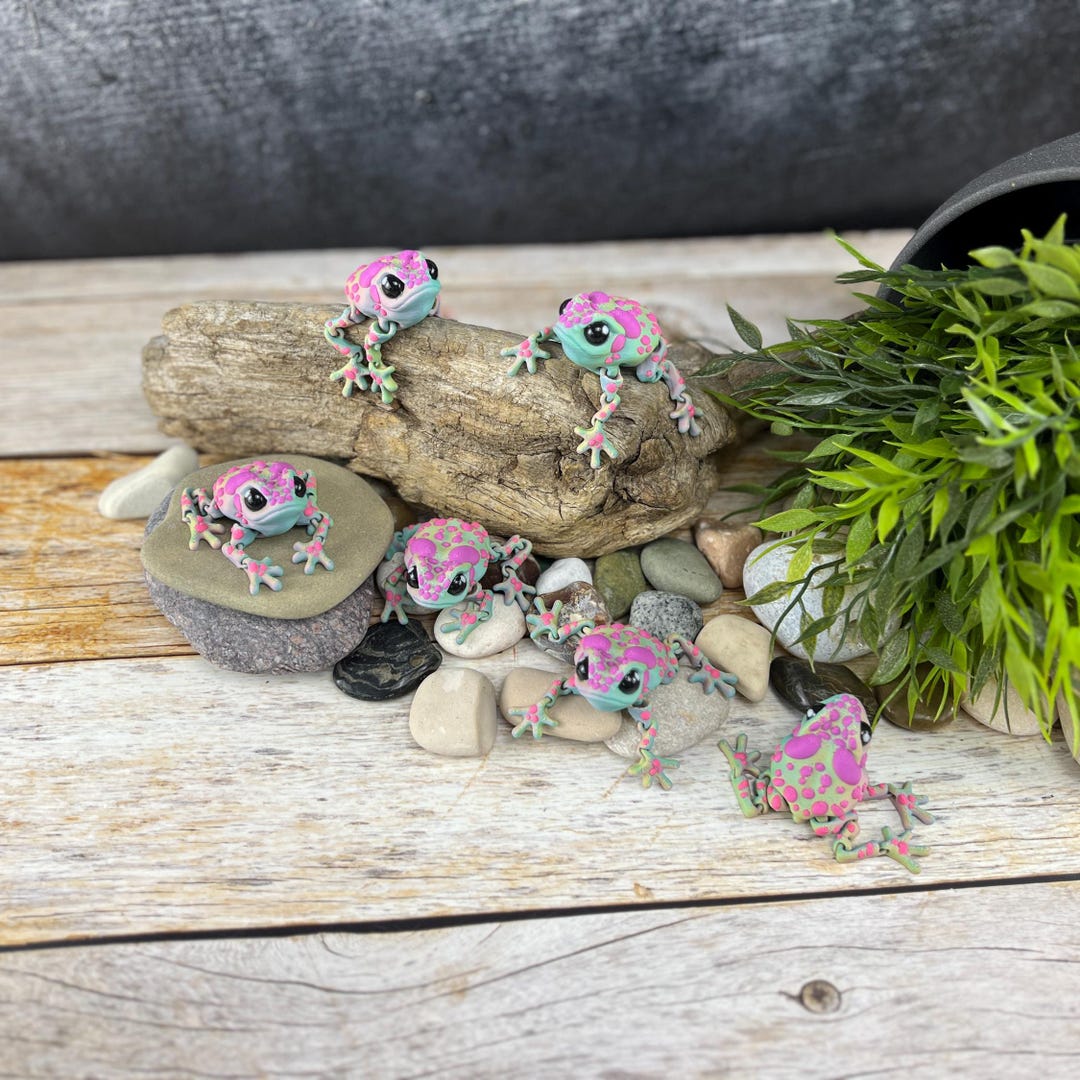 Flexi Toad Fidget Toy: 3D Printed Sensory Stimming Toy - Etsy