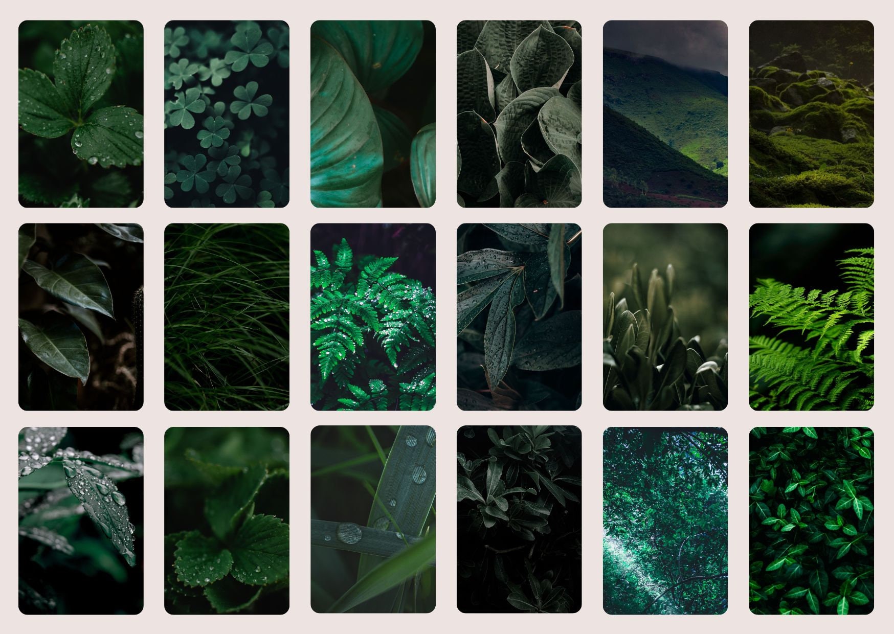 Green Instagram Template | Instagram Story Template | Nature Background ...