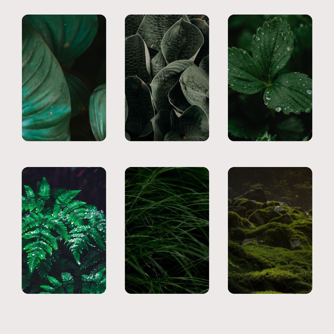 Green Instagram Template | Instagram Story Template | Nature Background ...