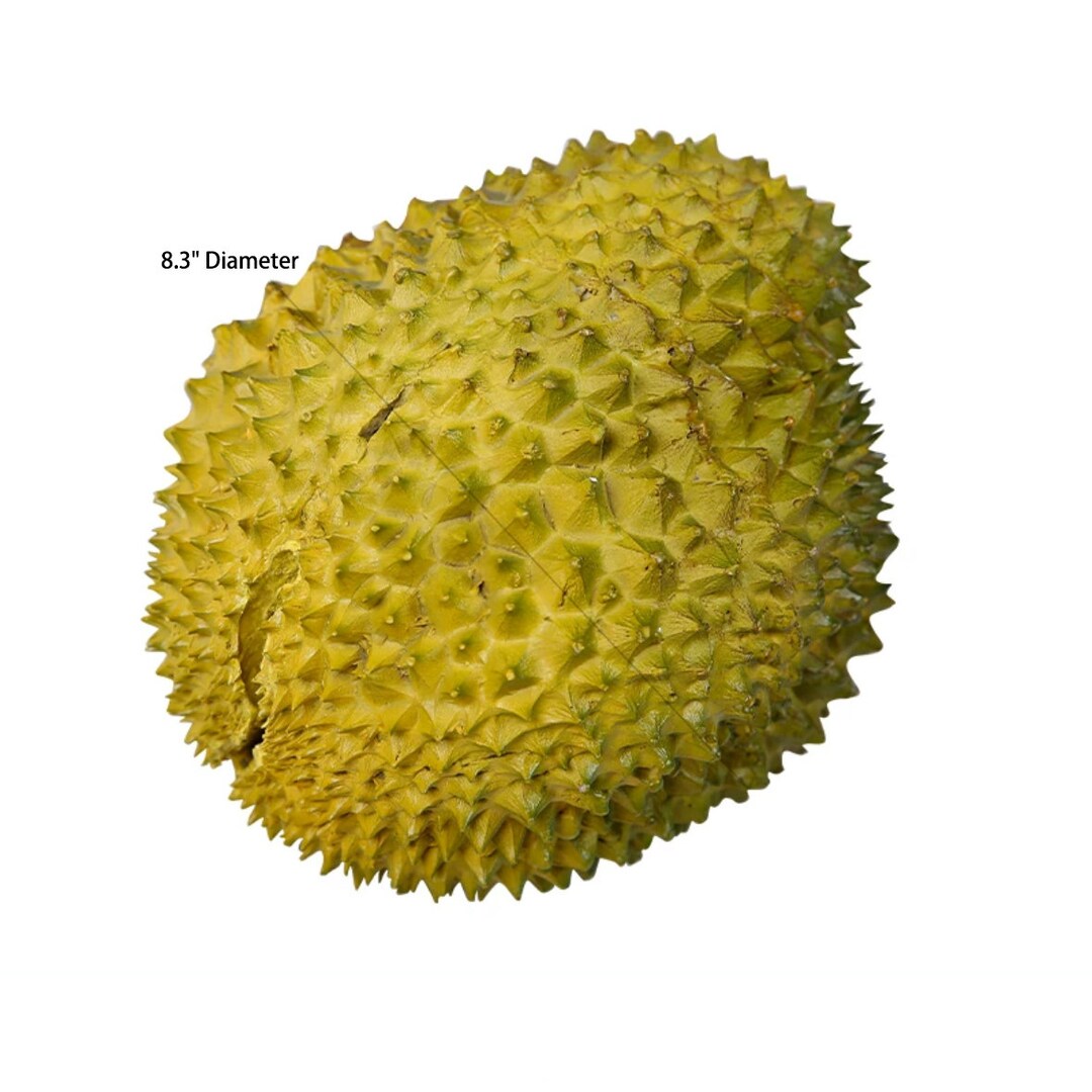 Large Faux Durian Fruit / Making Fabulous Ornament for Home, Display ...